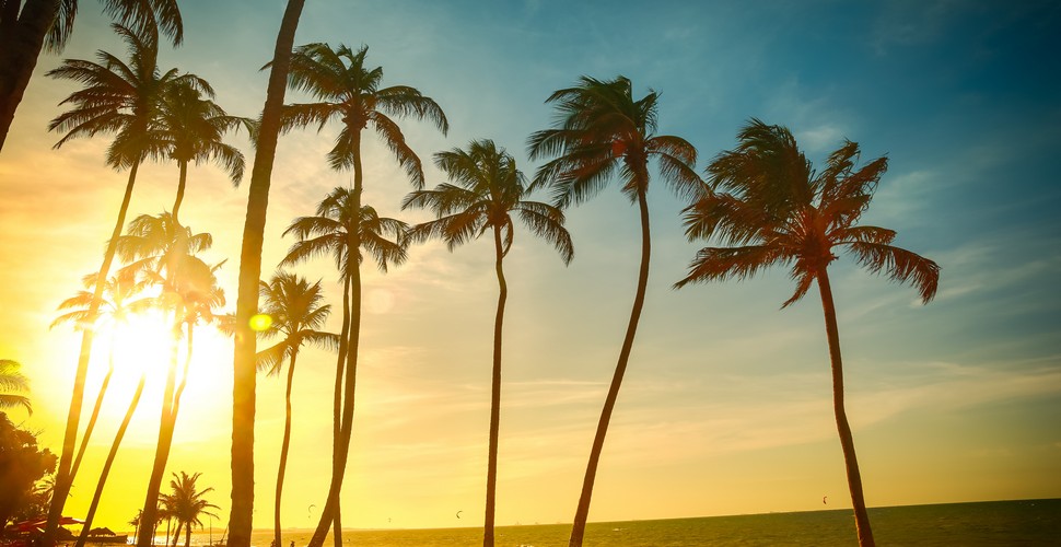 BRAZIL OFF-ROAD BEACH HOPPING TOUR - Va Expeditions